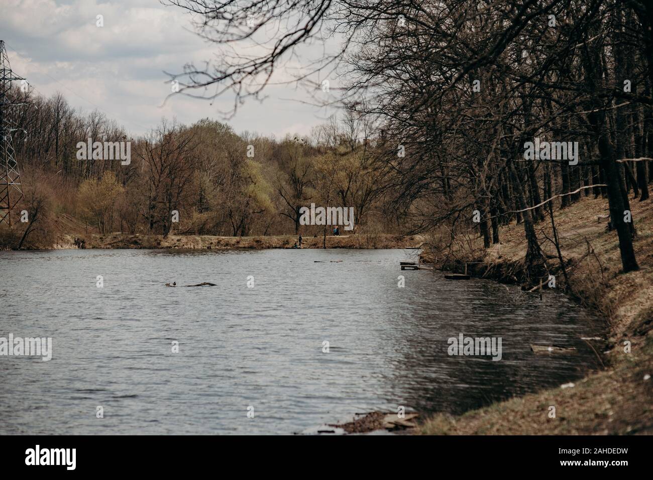 Beautiful lake. Spring nature background Stock Photo - Alamy