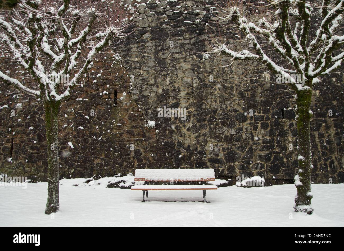 park bench in snow with two trees Stock Photo - Alamy