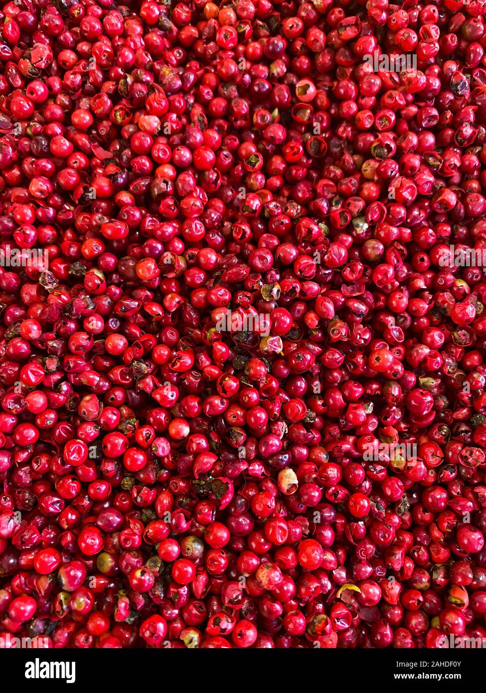 Red berries, top view. Background of wild red berries. Natural ...