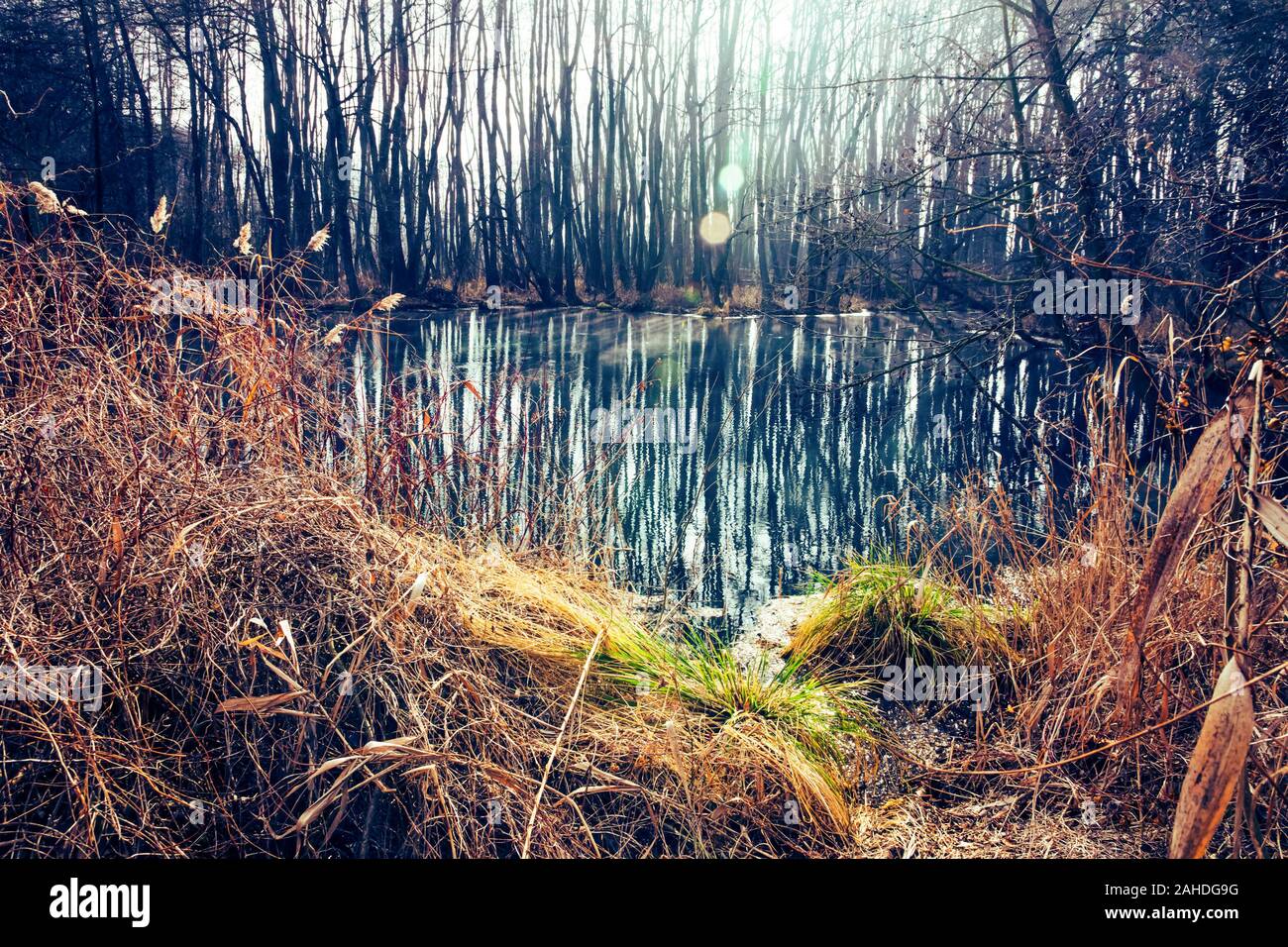 Spooky lake hi-res stock photography and images - Alamy