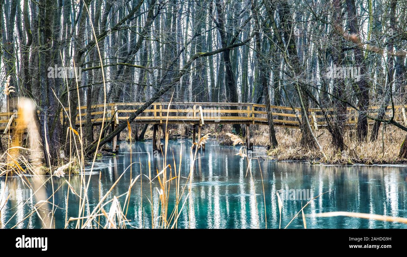 Spooky lake hi-res stock photography and images - Alamy