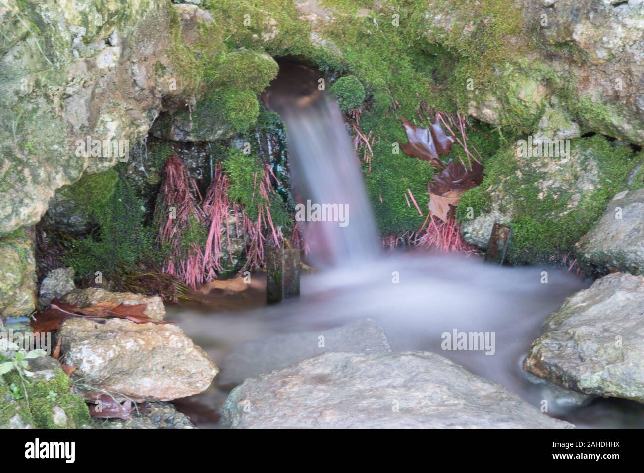 spring of natural water with moss bottom and water with silk effect ...