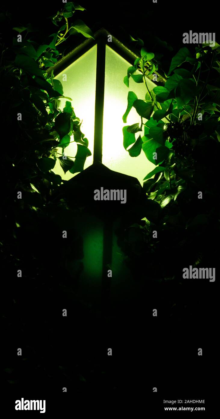 Green vintage street lamp at night covered with creeper Stock Photo - Alamy