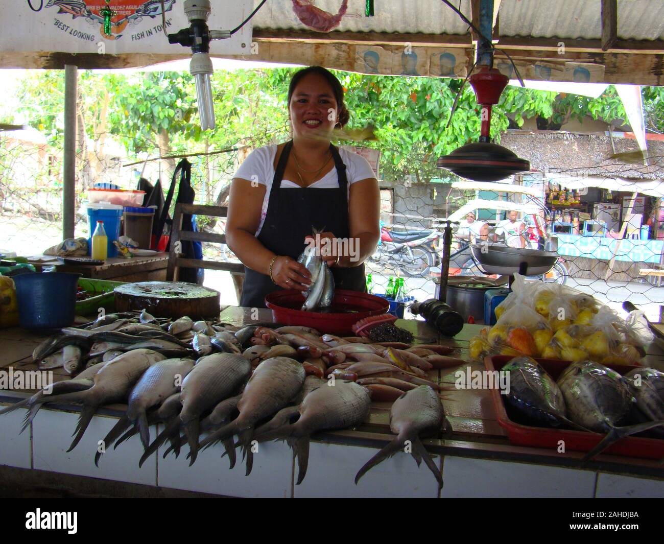 Lady fishmonger in her stall at the fish market of Santa Cruz, Mindoro ...