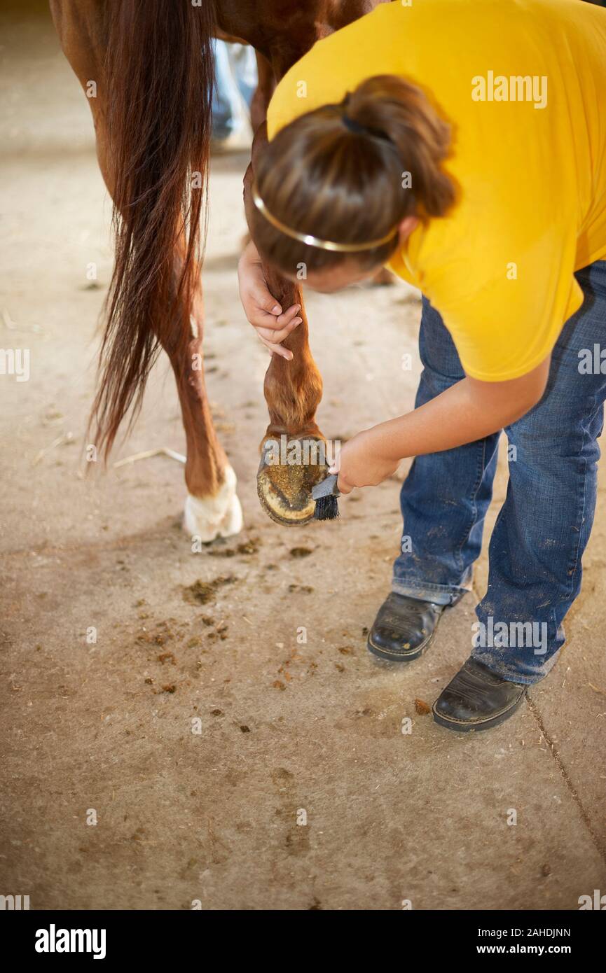 Hiram House Camp Ranch. Horse shoeing Stock Photo - Alamy