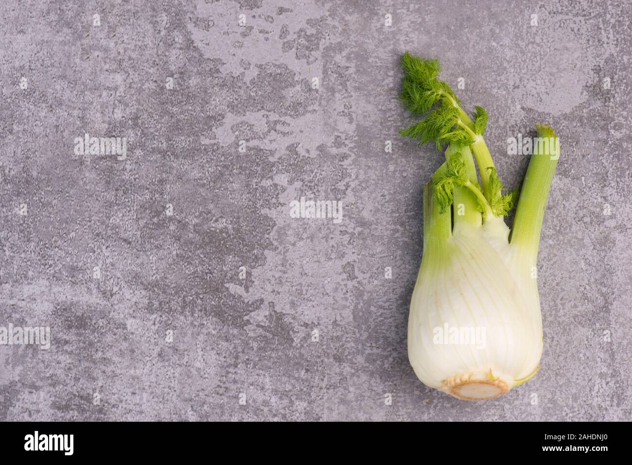 Grey fennel hi-res stock photography and images - Alamy