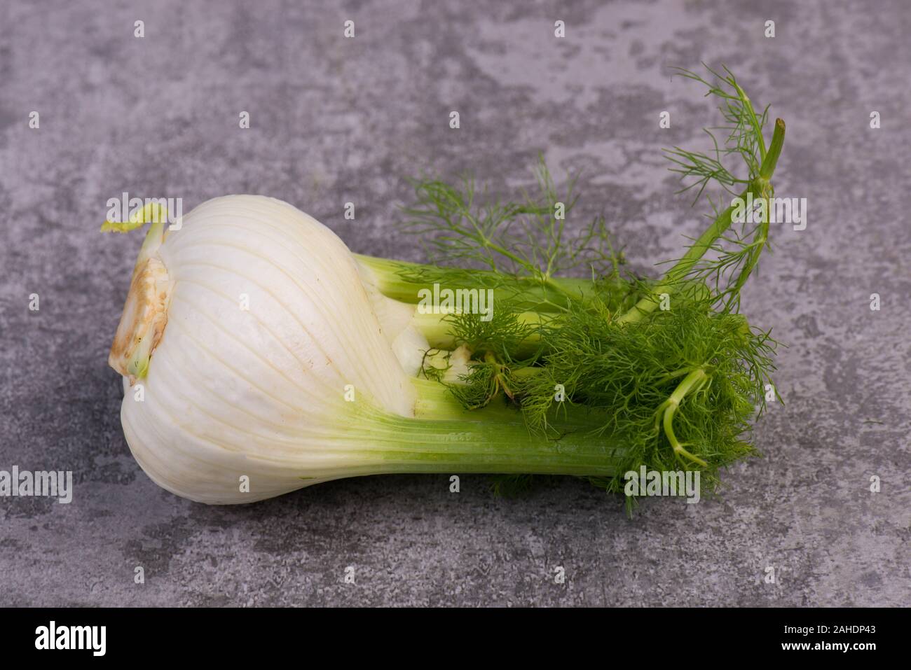 Fresh fennel on a grey textured bakcground, empty copy space Stock ...
