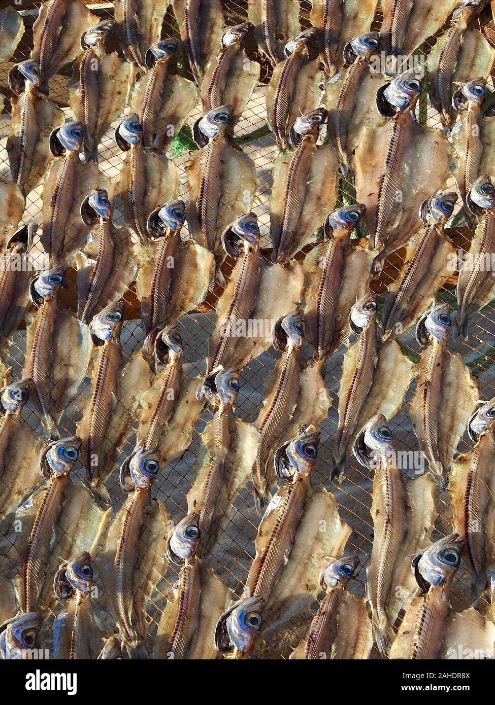 Fishery macro hi-res stock photography and images - Alamy