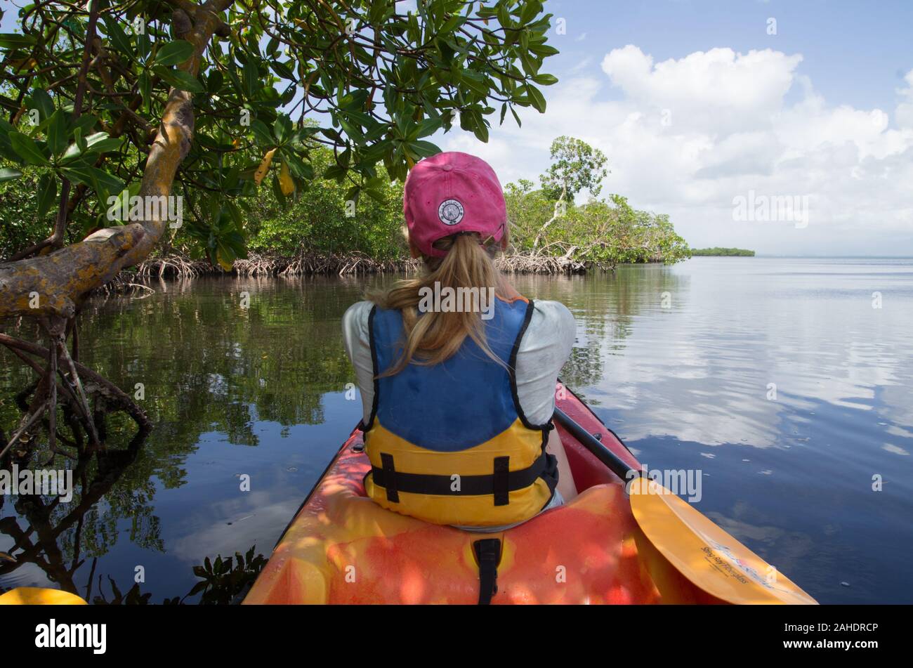 canoe kayak ride on the water's edge Stock Photo - Alamy