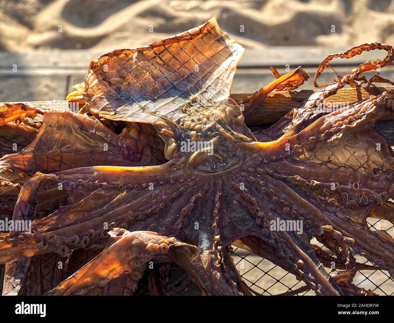 Macro of Stockfish, salted fish drying in the sun in Nazare in Portugal ...