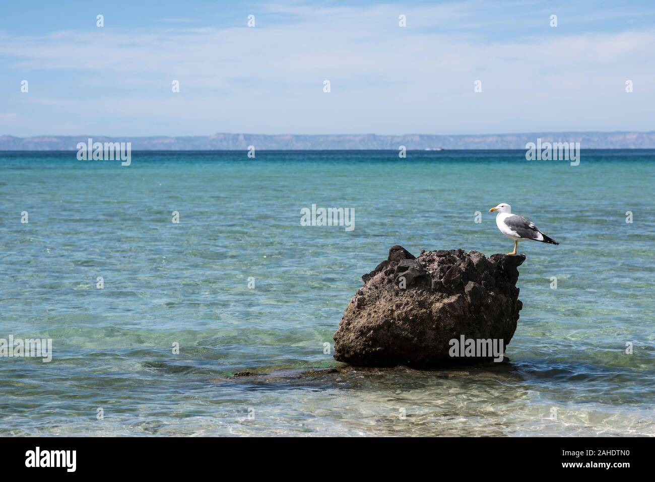 Pichilingue hi-res stock photography and images - Alamy