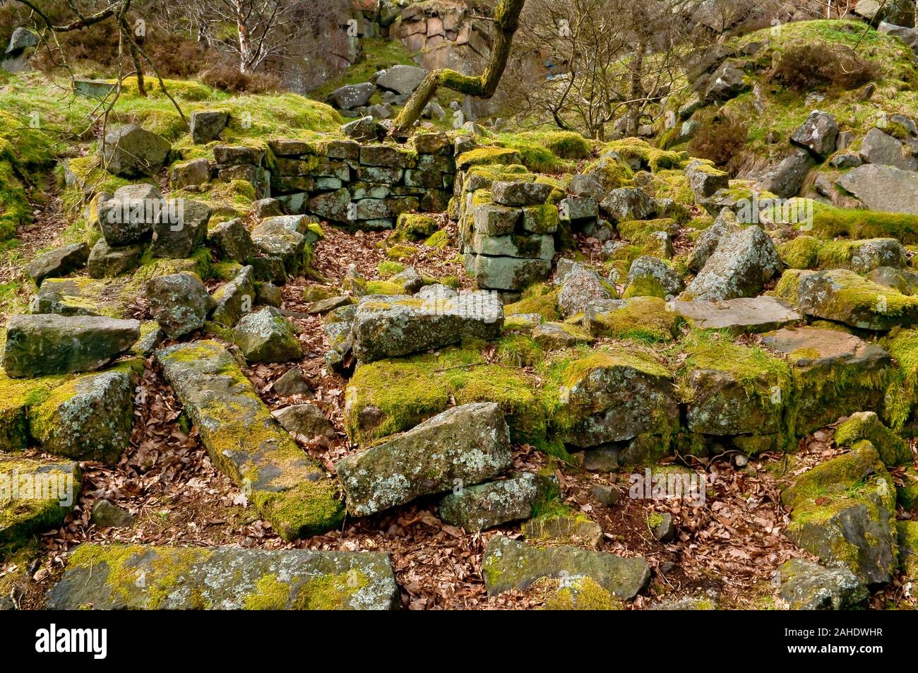 Abandoned and ruined buildings at a small quarry in Lawrence Field ...