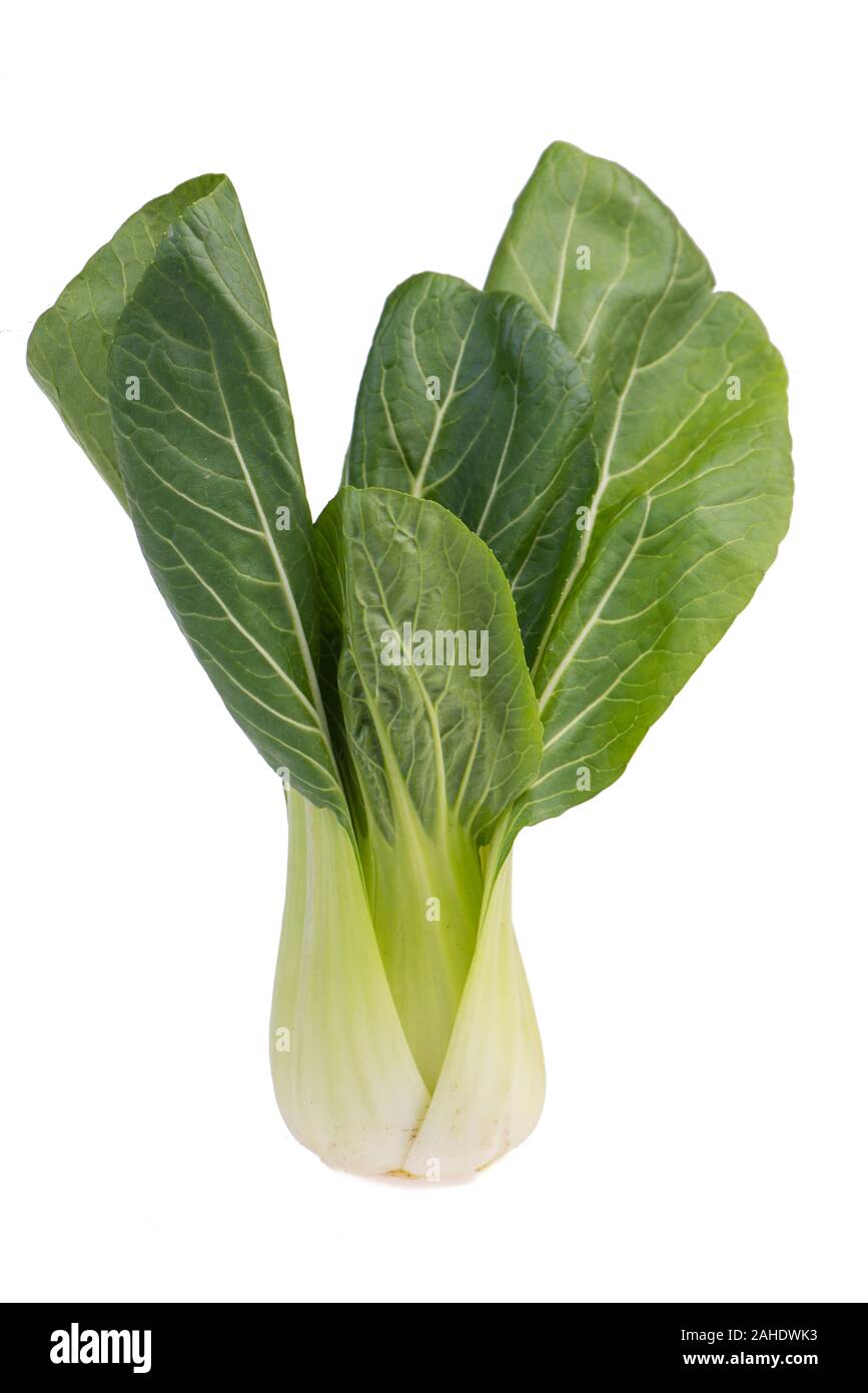 Pak Choi isolated on a white background Stock Photo - Alamy