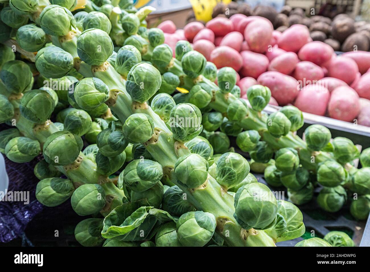 Vegetables on the stall hi-res stock photography and images - Alamy