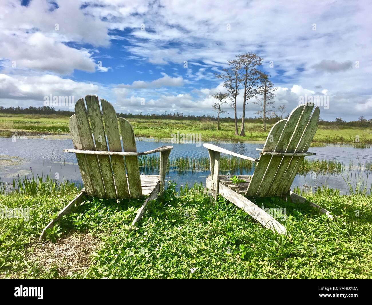 chairs on the river bank in the swamp Stock Photo - Alamy