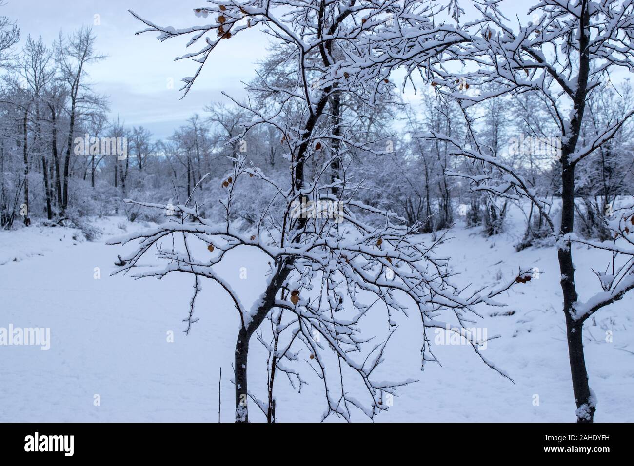 Vibrant fresh colours hi-res stock photography and images - Alamy