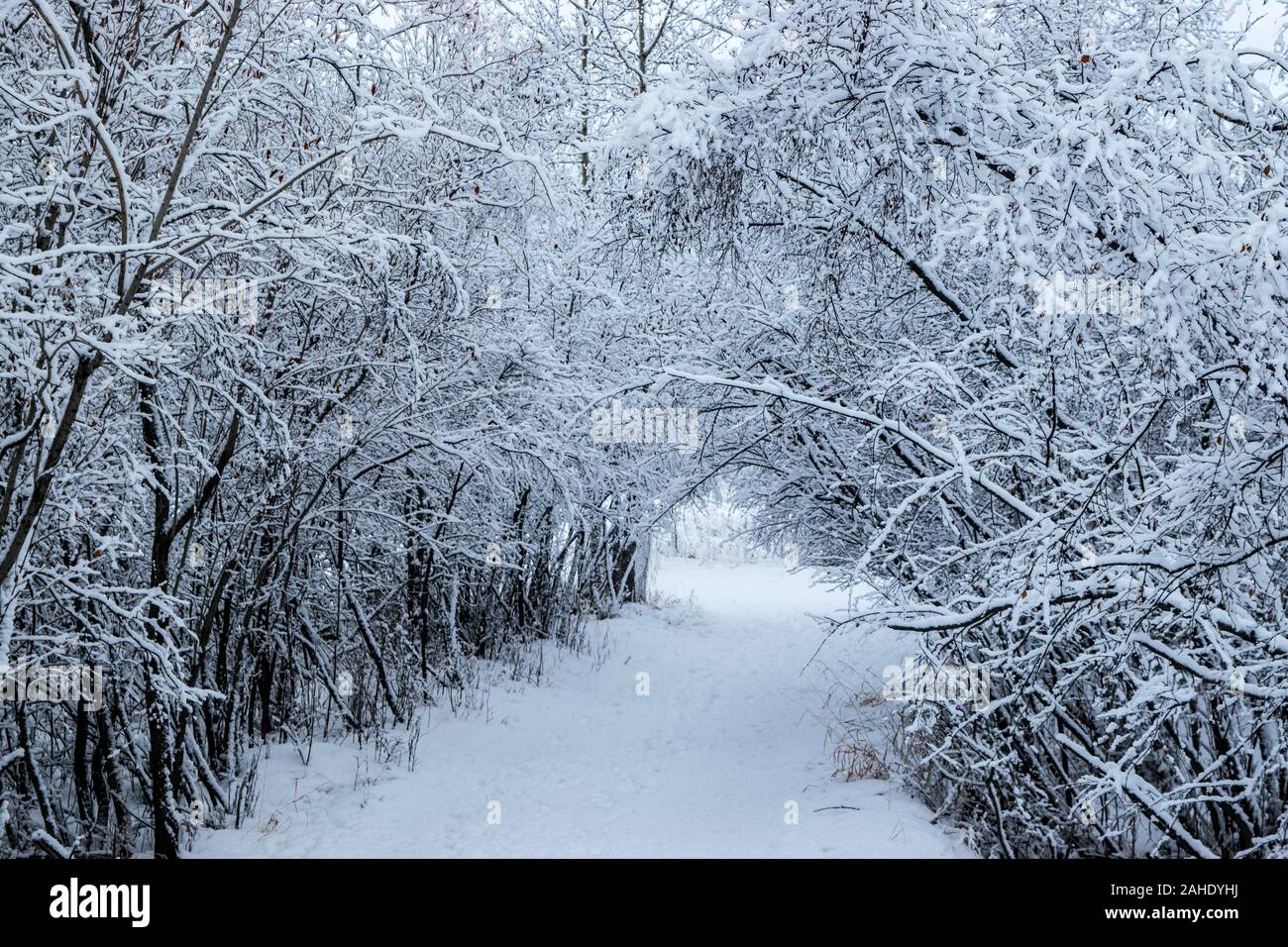 Vibrant fresh colours hi-res stock photography and images - Alamy