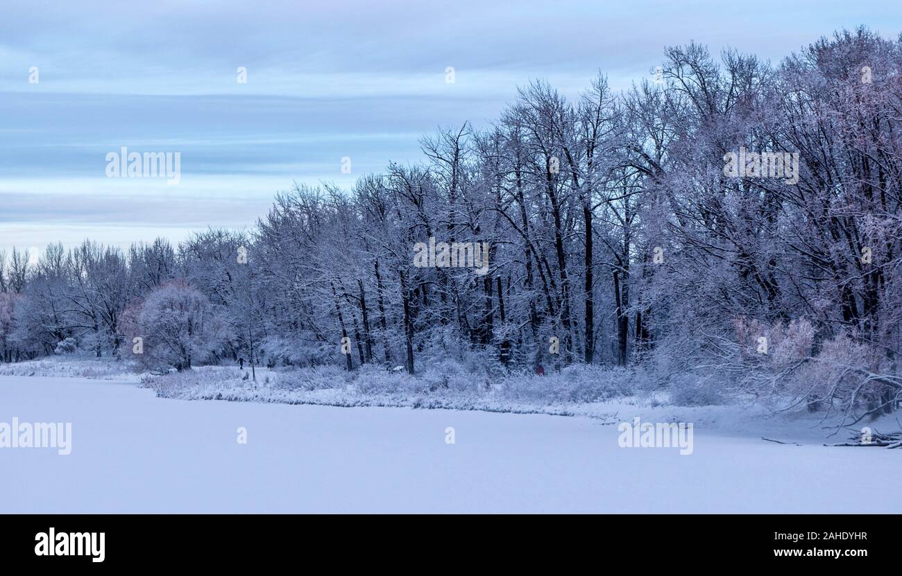 Fresh snowfall in winter scenery hi-res stock photography and images ...