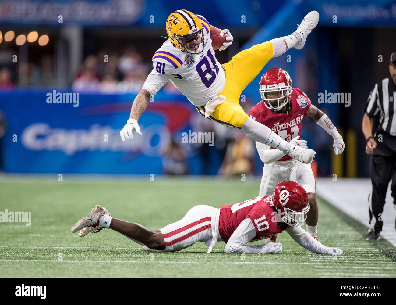 Pat moss hi-res stock photography and images - Alamy