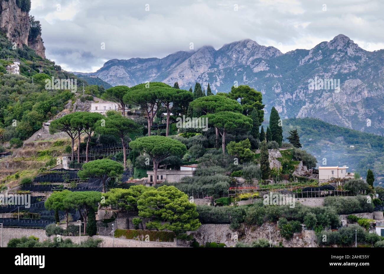 Gardens in Ravello Italy shaded by stone pine trees and seen from Torre ...