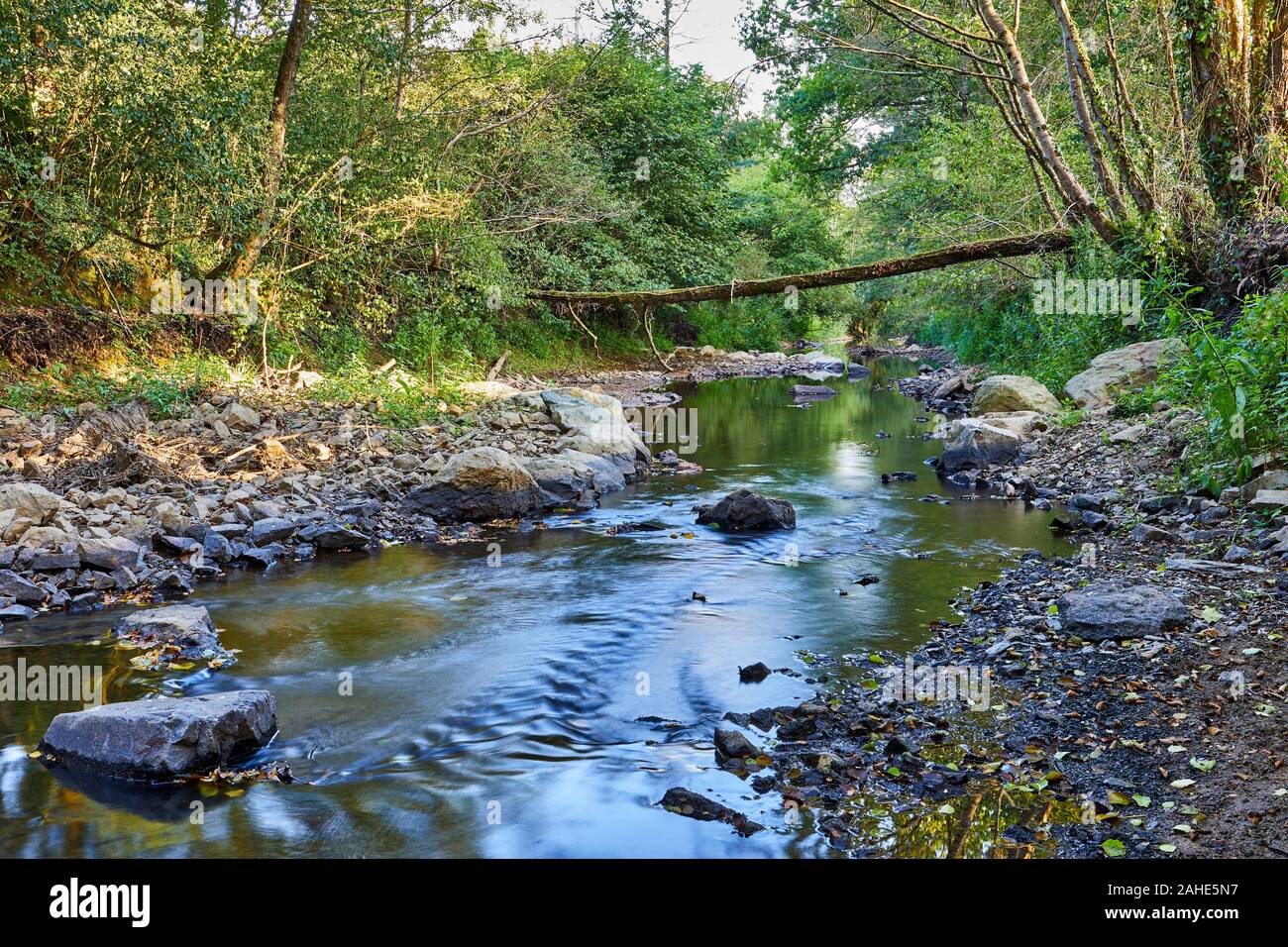 Streams And Rocks