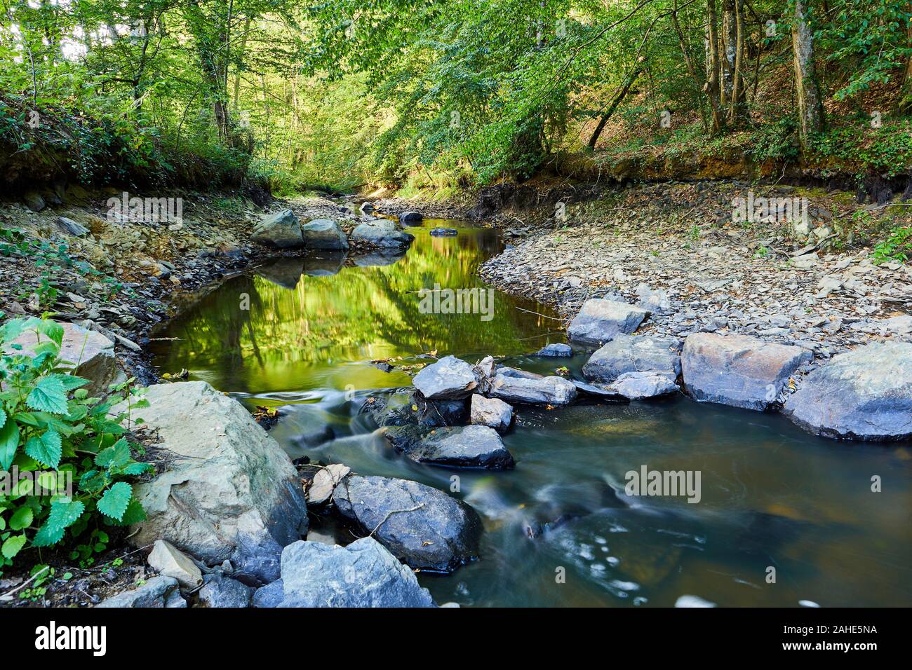 Image of running stream with rocks and trees Stock Photo - Alamy