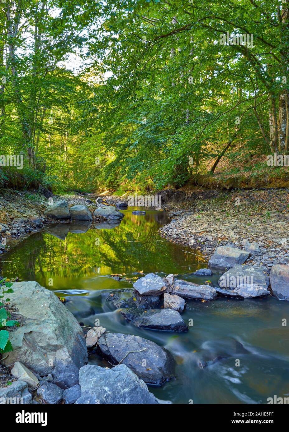 River rock rocks texture stream water background clear beautiful hi-res ...