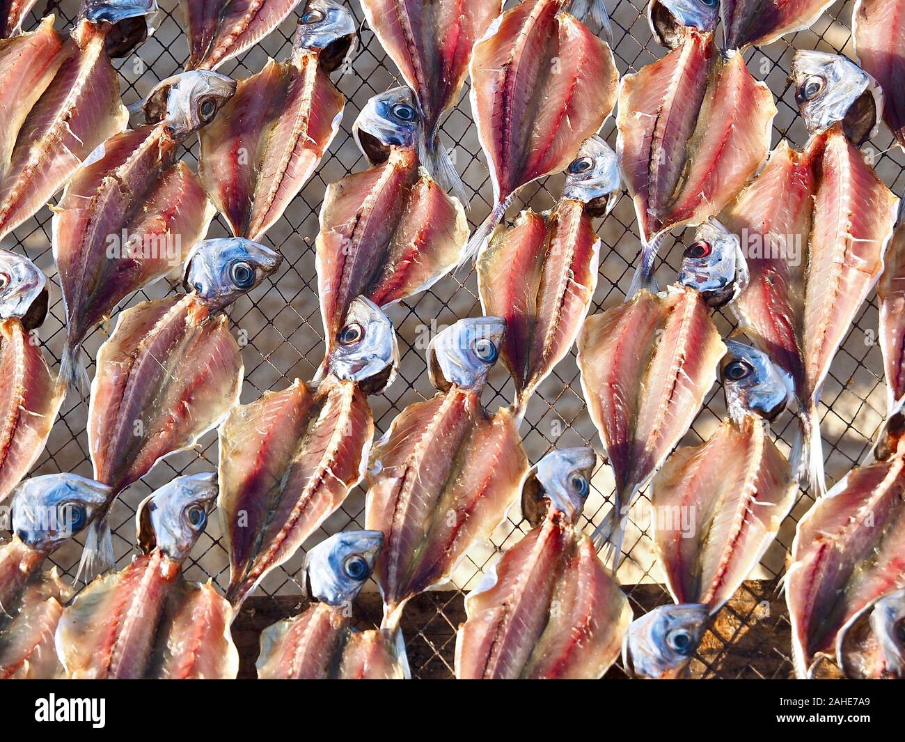 Macro of Stockfish, salted fish drying in the sun in Nazare in Portugal ...