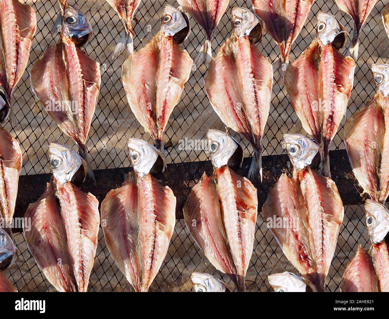 Macro of Stockfish, salted fish drying in the sun in Nazare in Portugal ...