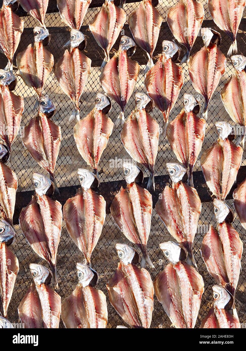 Macro of Stockfish, salted fish drying in the sun in Nazare in Portugal ...