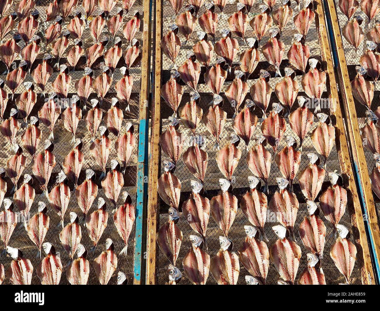 Salted fish drying hi-res stock photography and images - Alamy