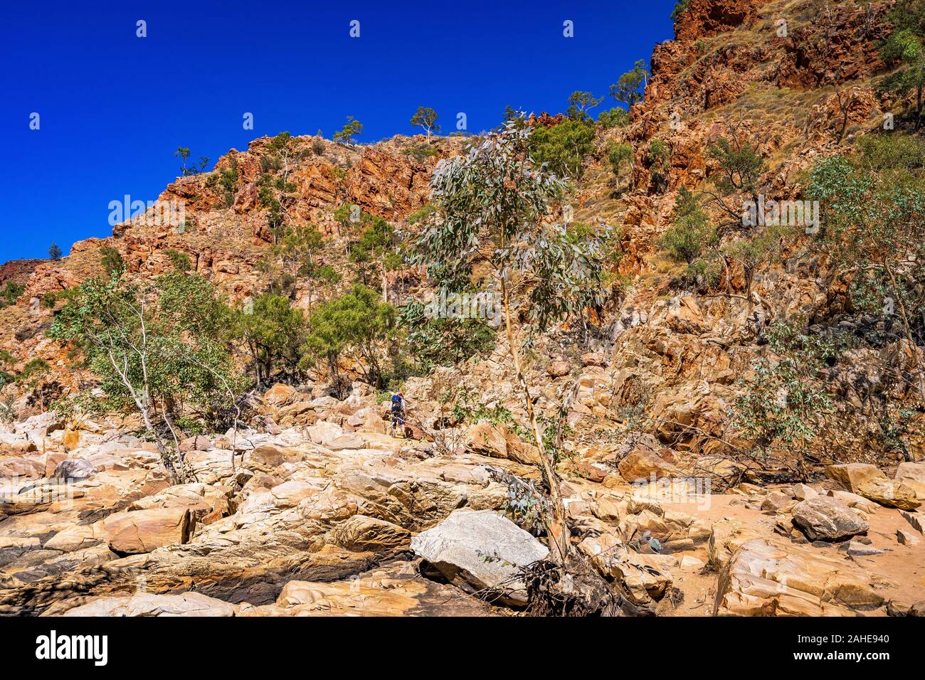 Redbank Gorge is a gap in the West MacDonnell Ranges in the Northern ...
