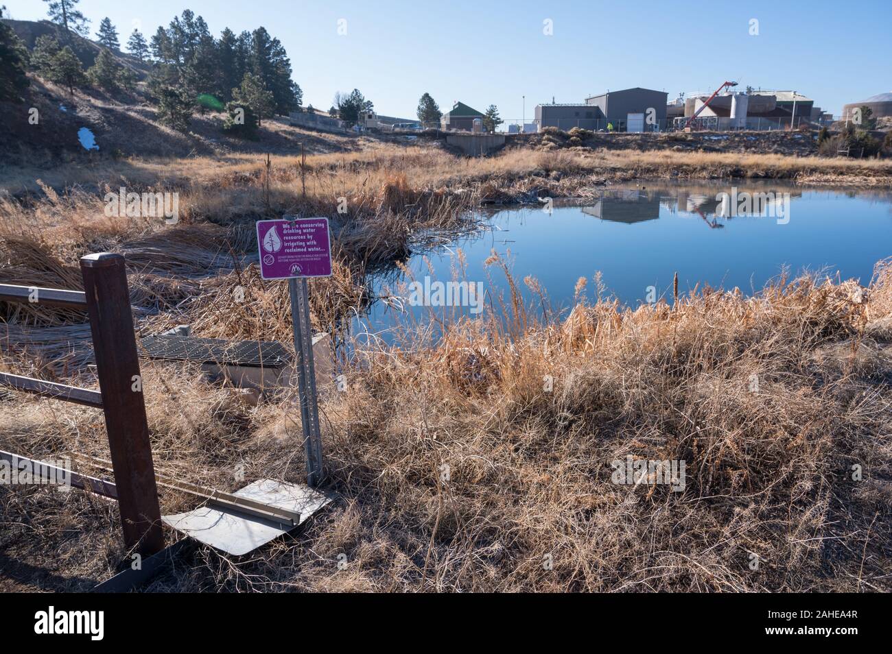 Pond with reclaimed water Stock Photo - Alamy