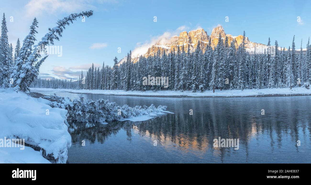 Leaning trees and Castle Mountain at Castle Junction in Banff National ...