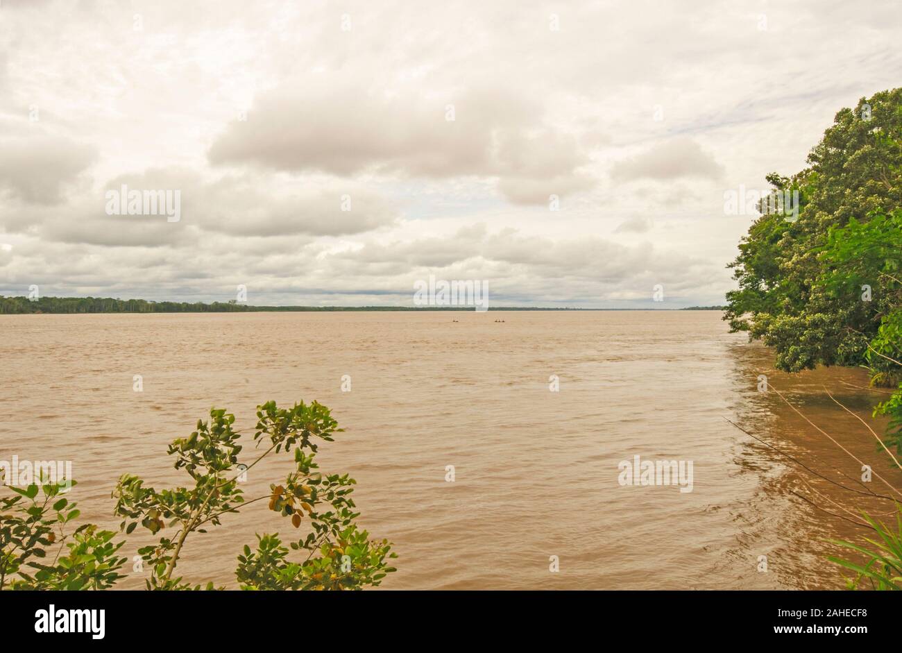 The Amazon River Near Iquitos, Peru in high water season Stock Photo ...