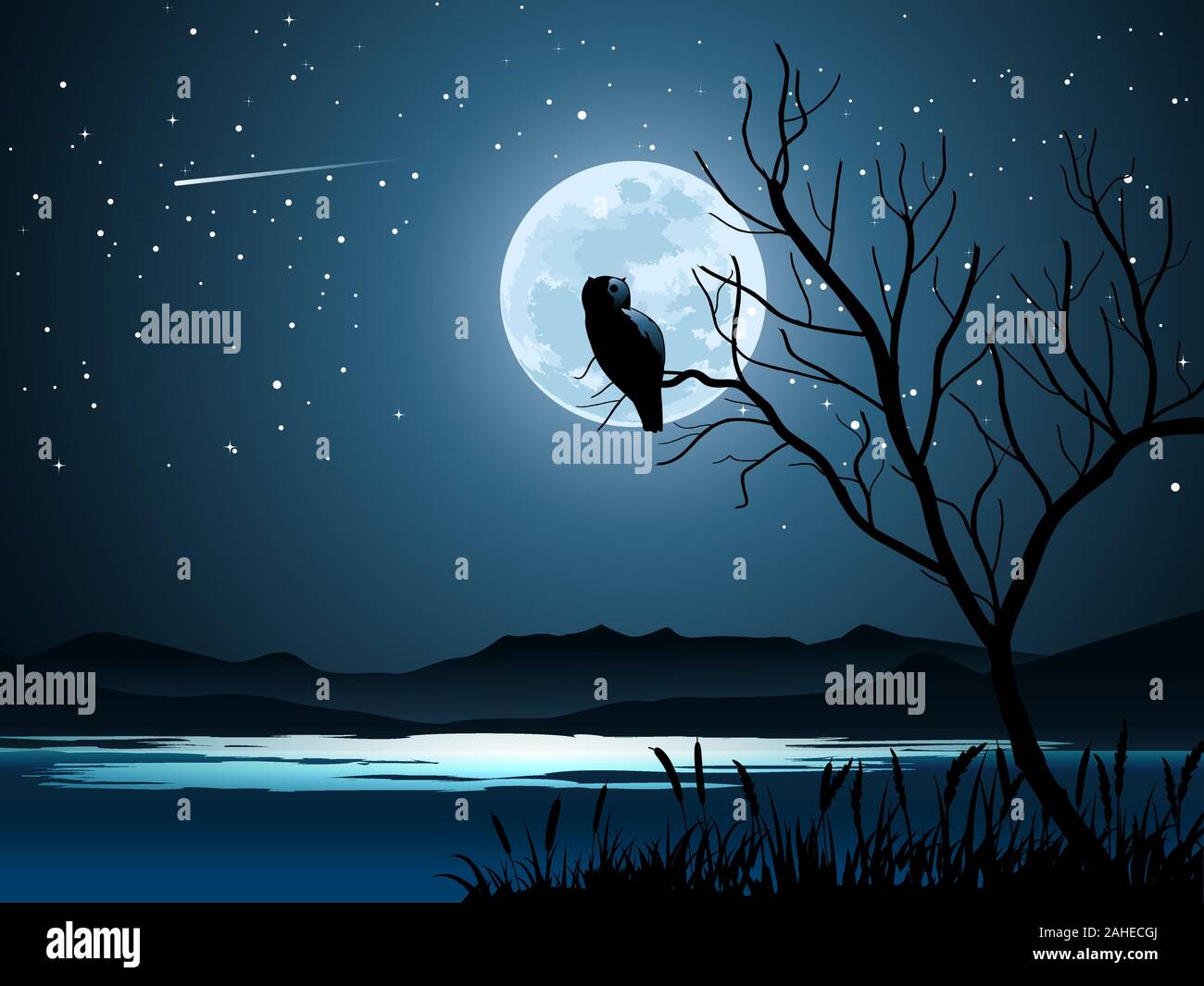 Owl sitting on branch at night with full moon Stock Vector Image & Art - Alamy