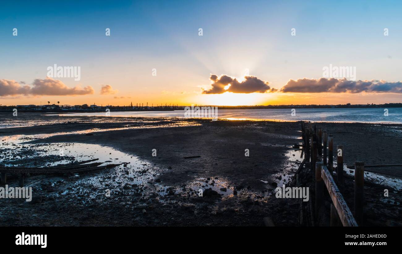 nature in brisbane queensland australia Stock Photo - Alamy
