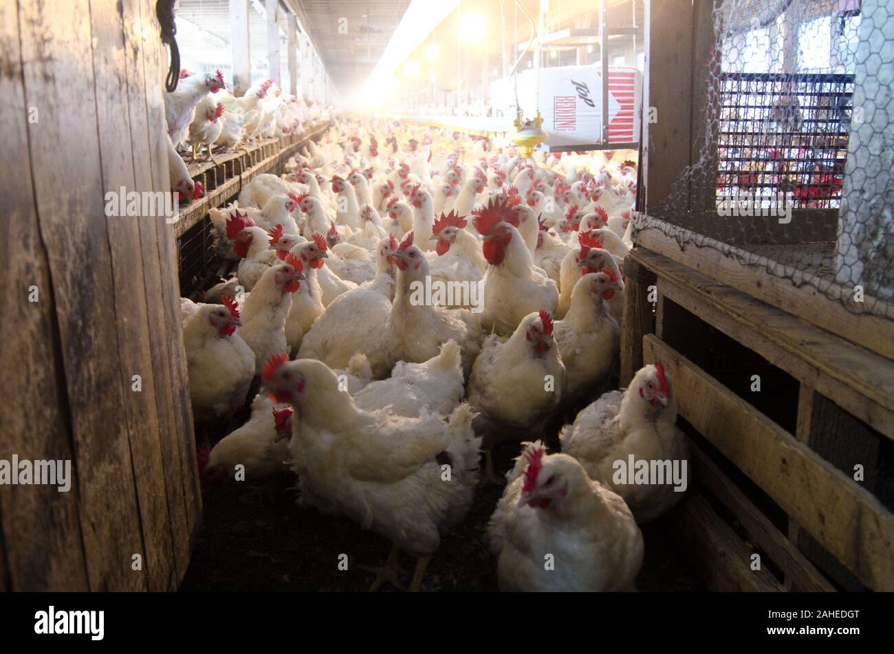 Pa farms hi-res stock photography and images - Alamy
