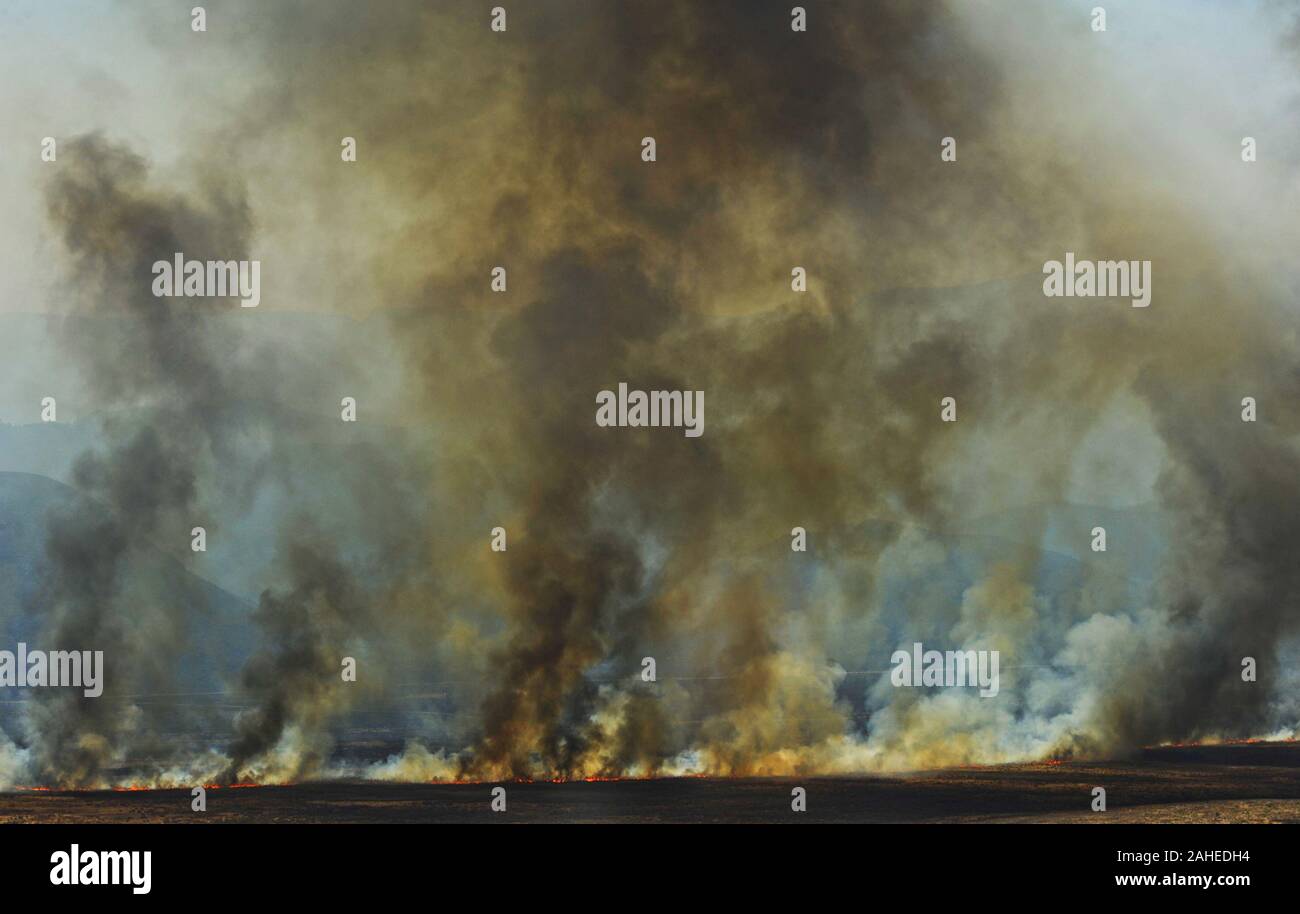 Parts of a wildfire hi-res stock photography and images - Alamy