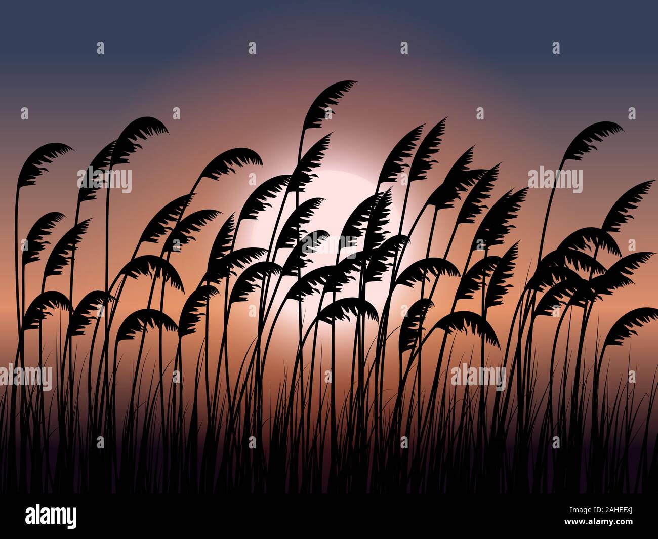 Grass sunset vector illustration Stock Vector Image & Art - Alamy