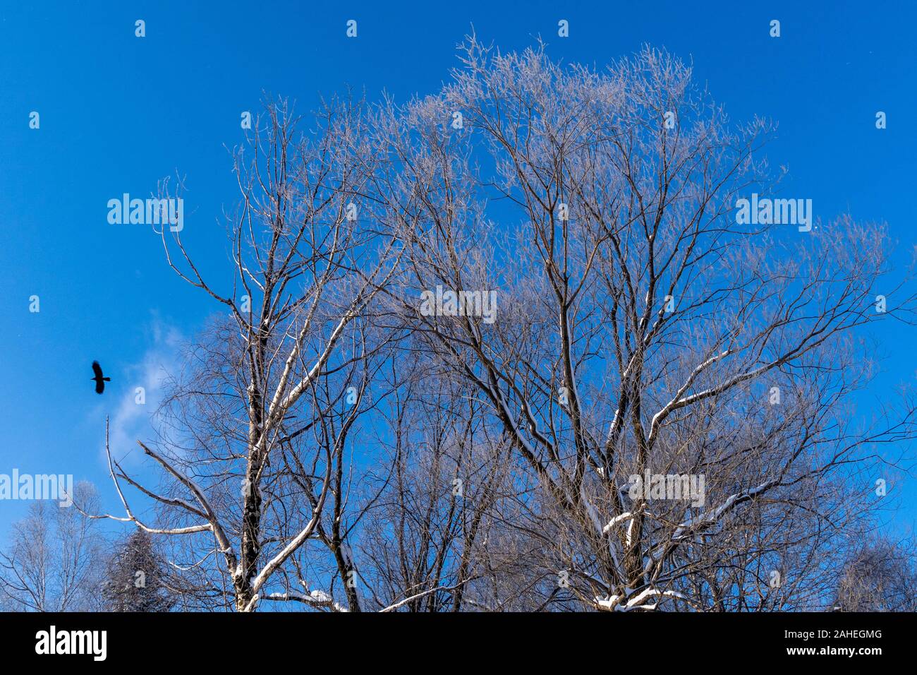 Harbin ice festival in china hi-res stock photography and images - Alamy