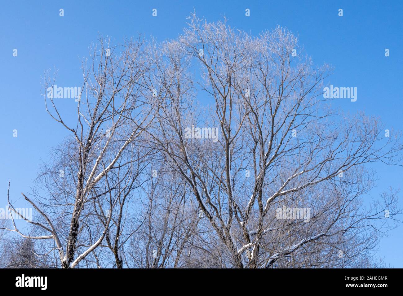 Harbin ice wonderland hi-res stock photography and images - Alamy