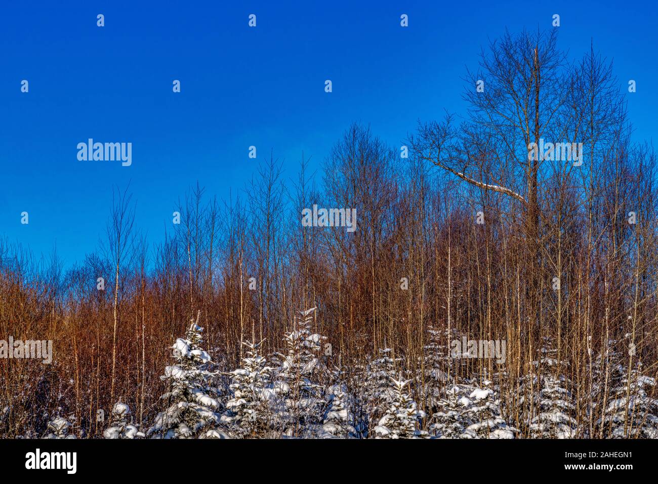 Harbin ice wonderland hi-res stock photography and images - Alamy