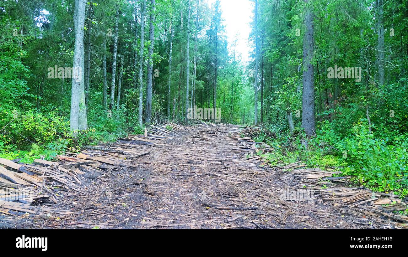 Stabilised logging road hi-res stock photography and images - Alamy