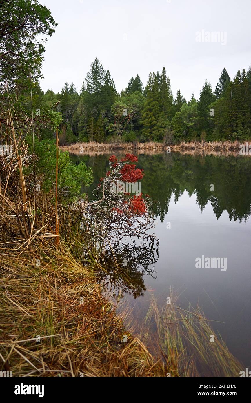 Willits california hi-res stock photography and images - Alamy