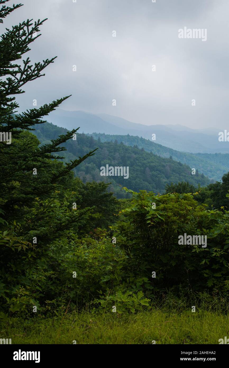 Summer Scenic View on the Blue Ridge Parkway in North Carolina Stock ...