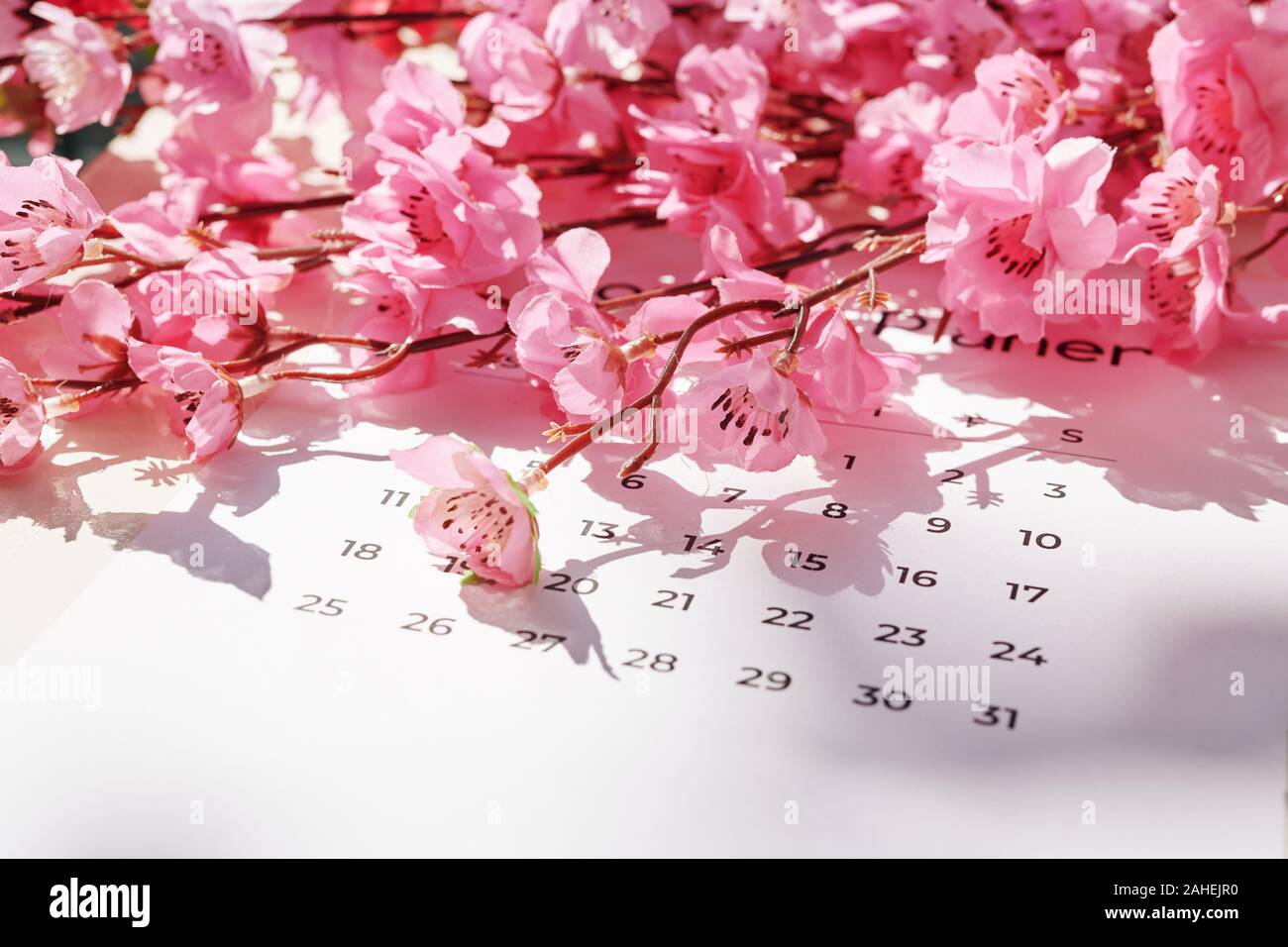 Peach branches with beautiful blooming pink flowers on calendar Stock ...