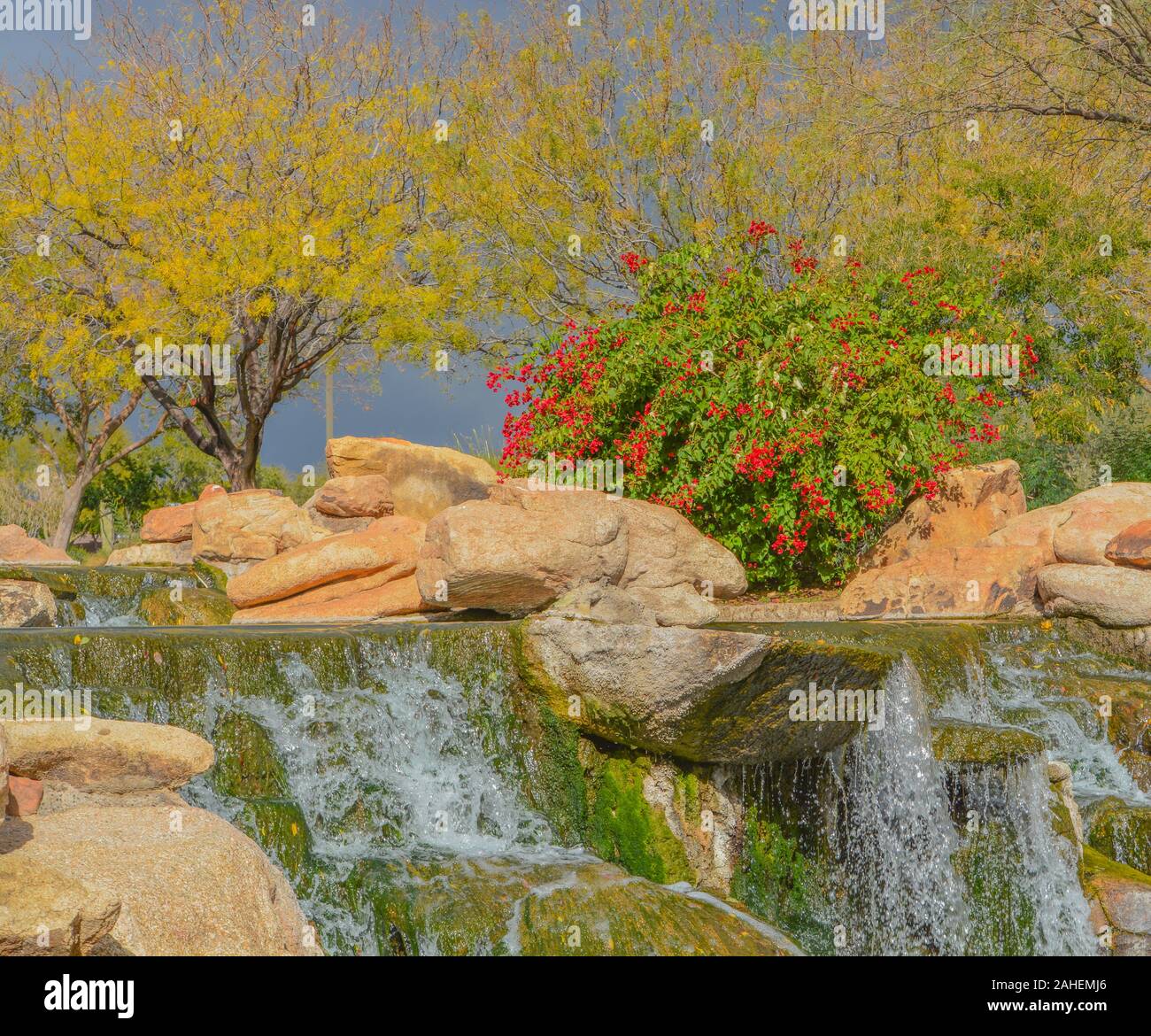 Sonoran desert ecoregions hi-res stock photography and images - Alamy