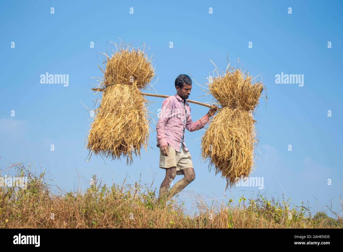 Indian stack hi-res stock photography and images - Alamy