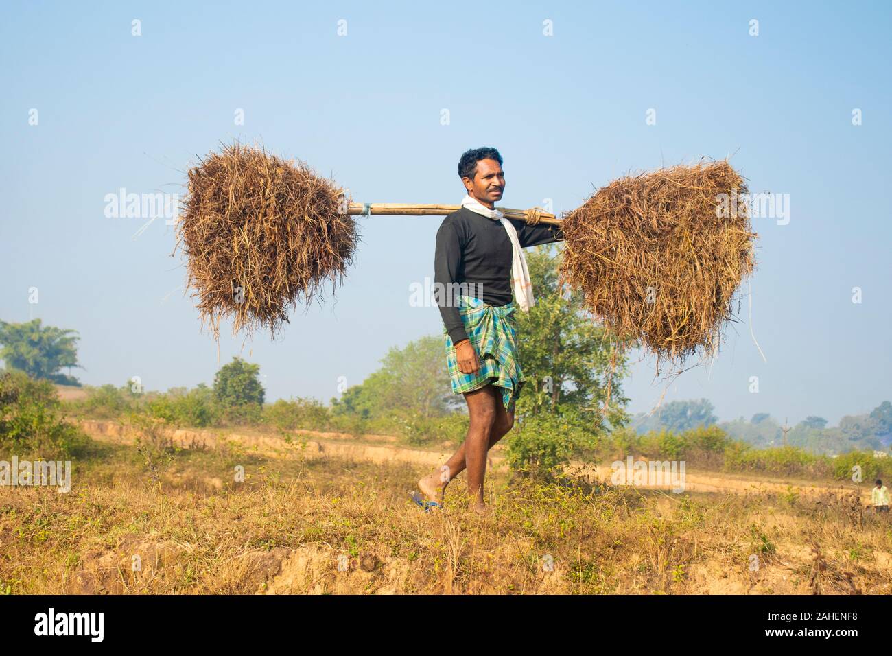 Beautiful view of Indian farmer carrying paddy stack in home Stock ...